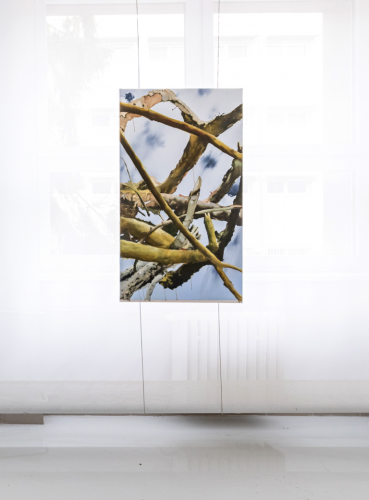 CURVA PURA - Helen Toth | Open House Roma